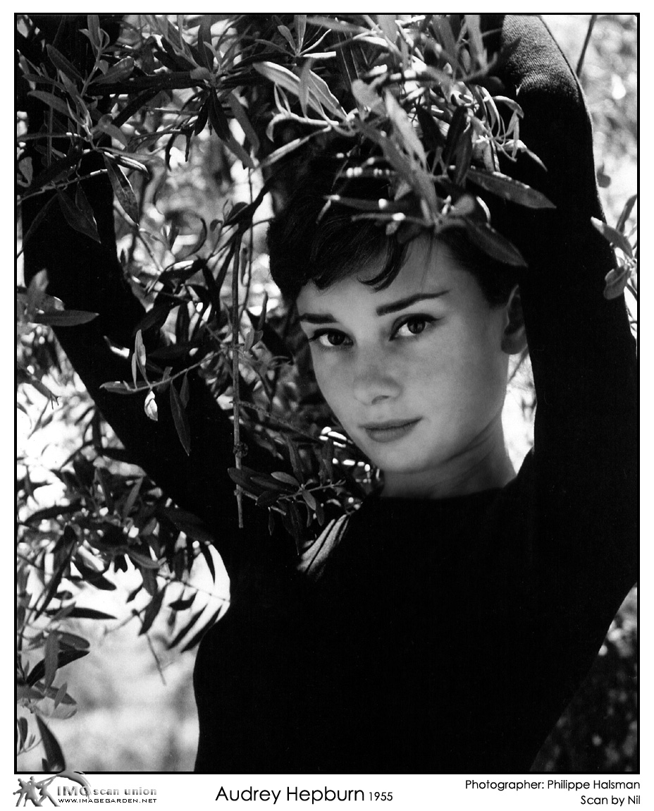 Where can I buy this poster? : r/audreyhepburn